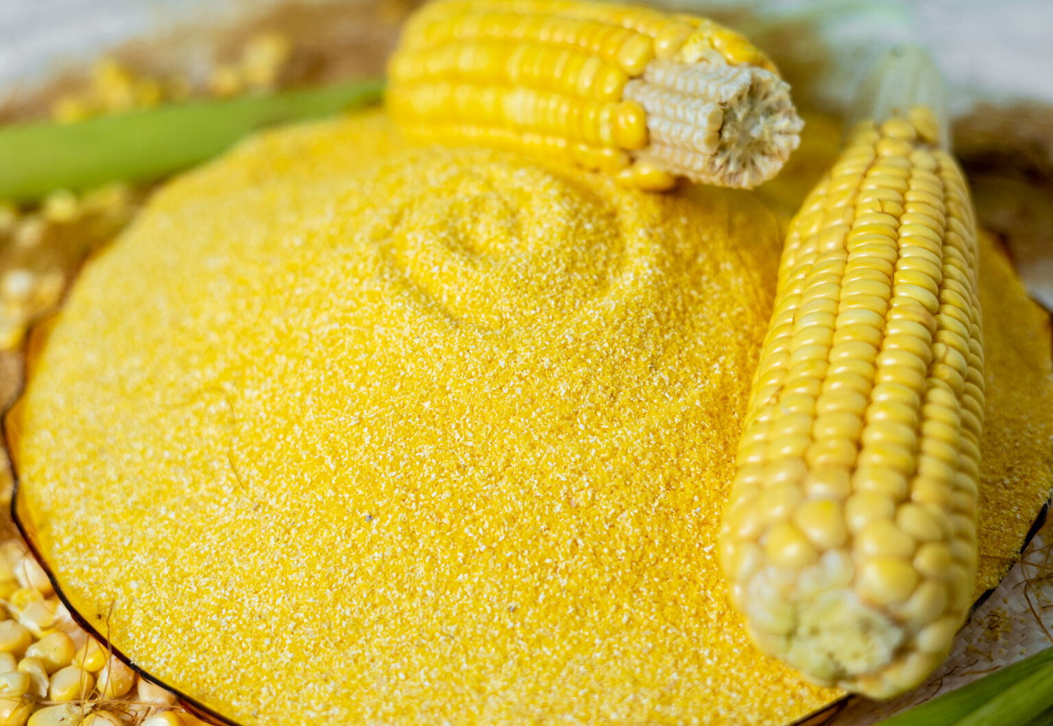 Rethinking maize production in Cameroon - Somdia