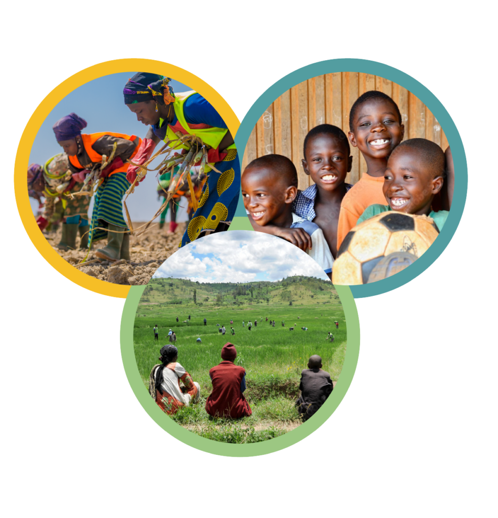 RSE et conformité - Somdia