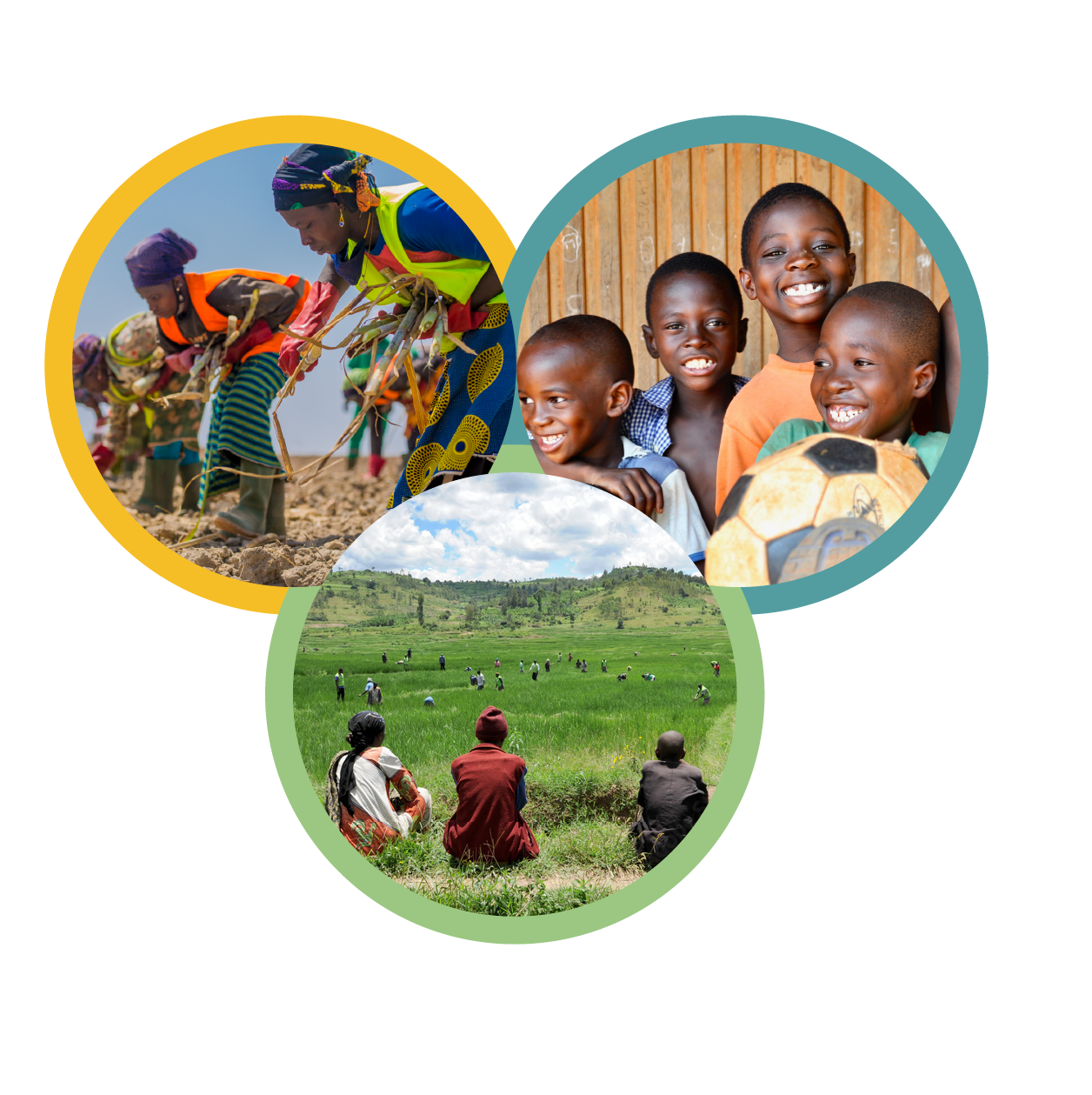 RSE et conformité - Somdia